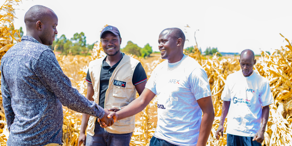 AFEX’S AGRICULTURAL TRANSFORMATION IN KENYA – Story Board